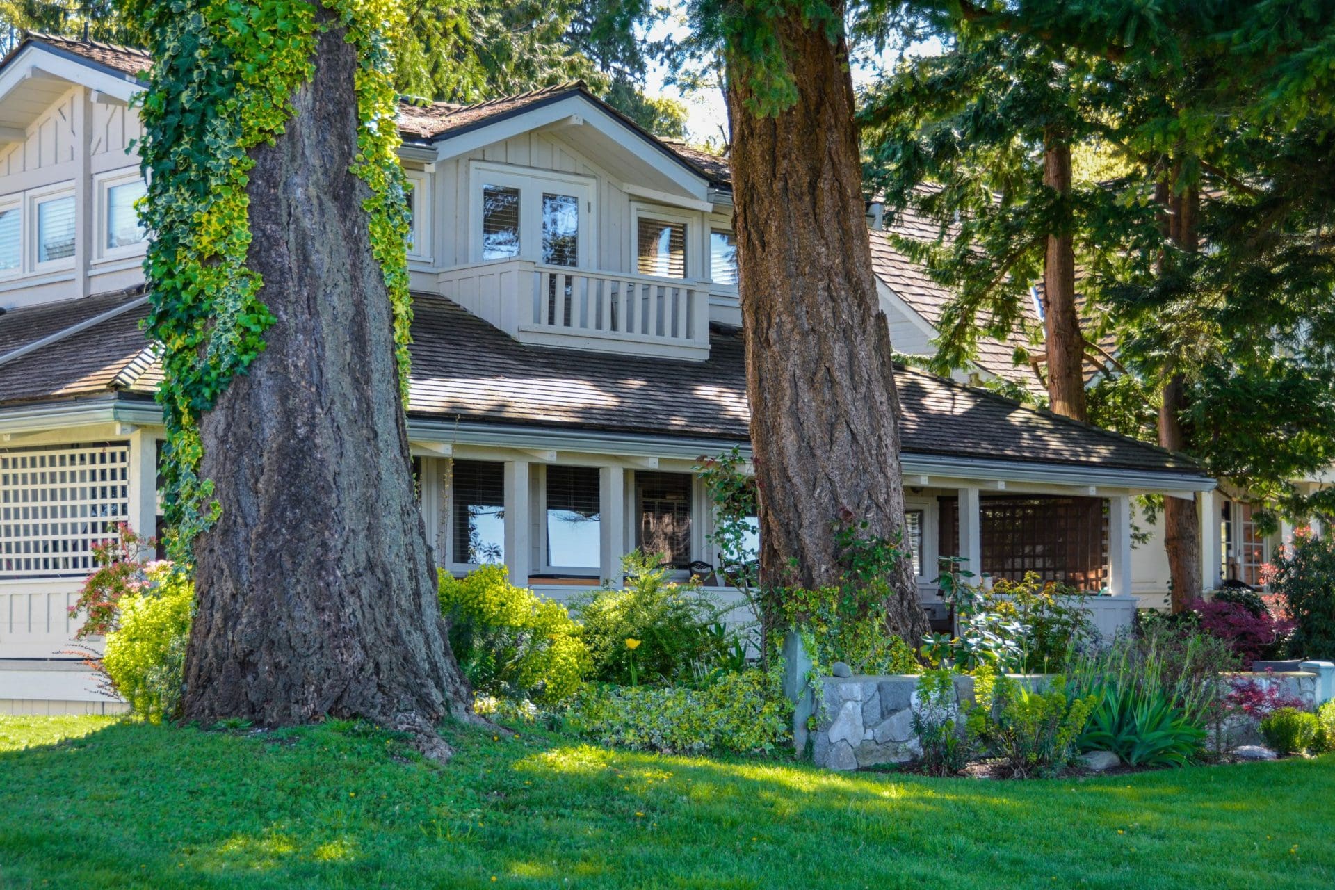 4 Ways Trees Keep A Home Protected and Safe
